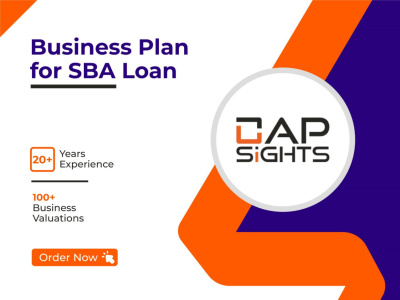 SBA loan business plan, investor ready business plans | Upwork