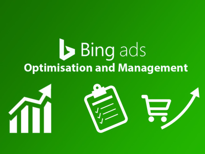 Bing Ads Campaign Management | Upwork