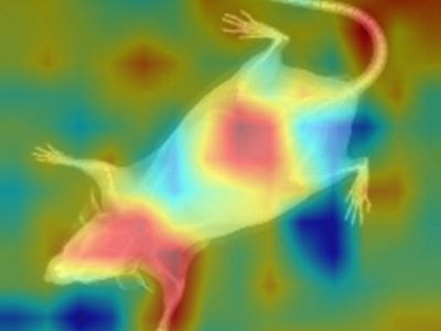 Image classification framework for 2D/3D images | Upwork