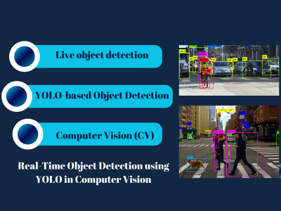 Advanced Object Detection Solutions | Yolo: AI & Machine Learning Expertise | Upwork