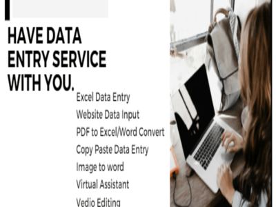 A perfect and professional virtual assistant for Data Entry. | Upwork