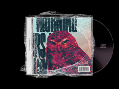 A Professional High-Quality Album Cover | Upwork