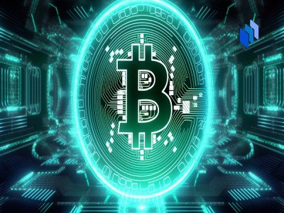 A specialized consultation on how to get bitcoin software for use | Upwork