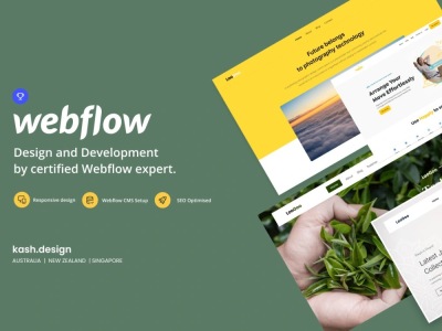A stunning, attractive and responsive webflow website as a webflow expert | Upwork