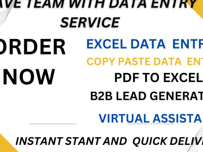 Professional Data Entry Services. | Upwork