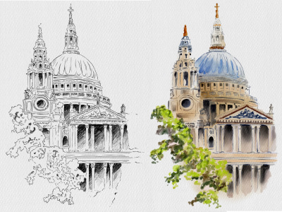 Watercolors with Line Drawing | Upwork