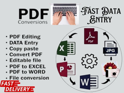 Fast Data Entry & PDF Services: Retyping, Editing, Formatting & Conversion | Upwork