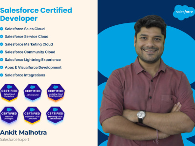 Book a Development & IT Consultation with Ankit M. | Upwork