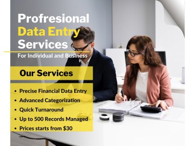 Accurate and Efficient Financial Data Entry Services | Upwork