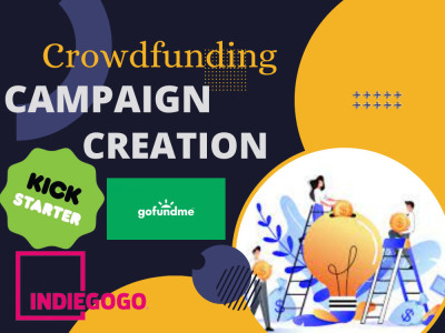 An Impactful Crowdfunding Campaign with Professional Creation and ...
