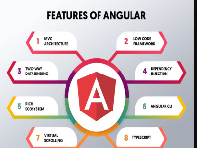 Angular web expert developer | Upwork