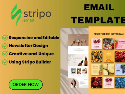 A professional email template using stripo and html | Upwork