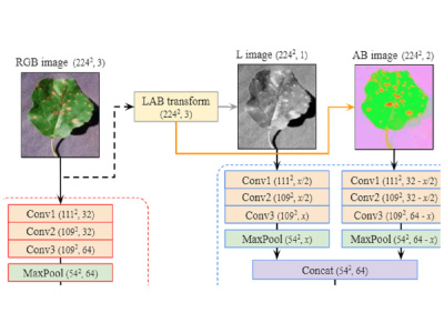 Disease Detection Model for Patient Easy Diagnosis | Upwork