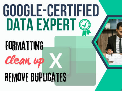 Professionally format and clean data in excel with verification reports ...