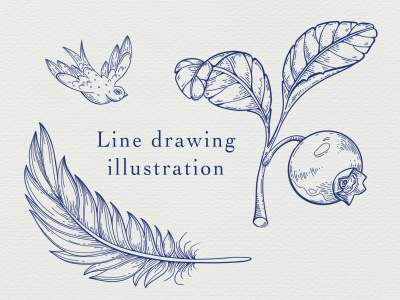 A High Quality Line Drawing illustration | Upwork