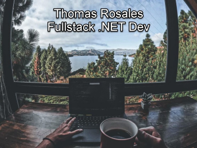 Bug fixes and feature enhancements for your .NET application | Upwork