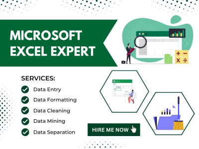 Professional excel data entry, analysis, formatting & cleaning services | Upwork