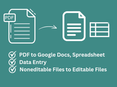 Data Entry, PDF to Google Docs, Spreadsheet File Conversion | Upwork