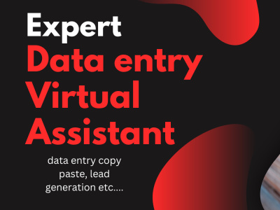 Expert virtual assistant data entry | Upwork