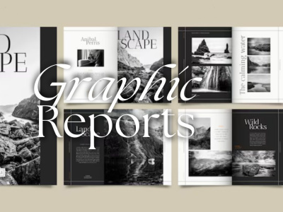 An extremely visually pleasing graphical report | Upwork