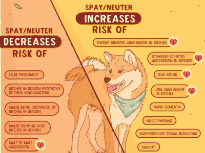 An infographic for Unlock Peak Performance | Upwork