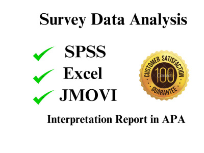 SPSS analysis & Interpretation report for Quantitative Research data | Upwork