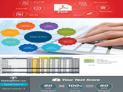 Top-Notch Virtual Assistant: Data Entry, Manual Typing, General Researcher | Upwork