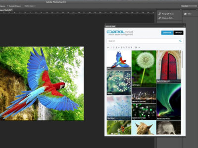 Adobe Extension or Plugin for (InDesign / Illustrator / Photoshop) | Upwork