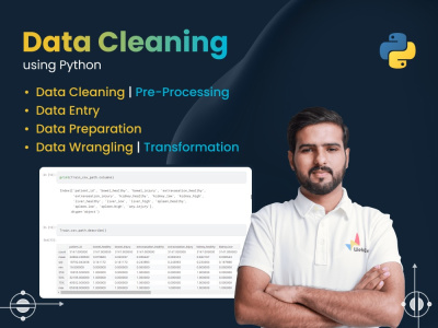 Data Cleaning/Pre-Processing Services using Python | Upwork