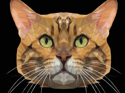 Low poly drawing from photo of person/animal | Upwork