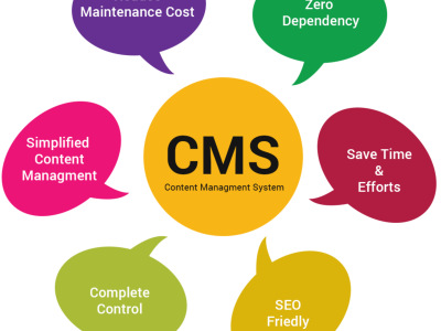 Headless CMS integration, React/Next.js app (Contentful, Strapi, Sanity ...