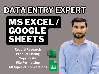 Expert Data Entry & Record Keeping in Excel/Google Sheets | Upwork