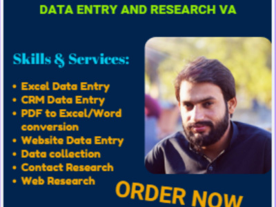 A fantastic Virtual Assistant for Data Entry and Web Research | Upwork