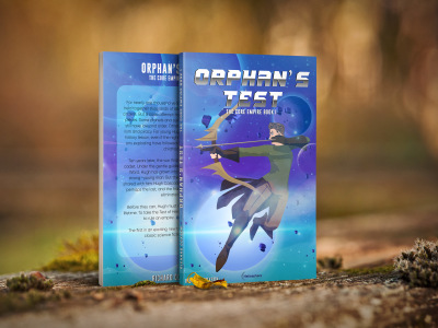 Stunning amazon kindle book covers | Upwork