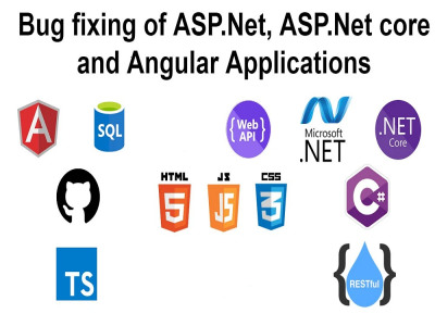 Bug free dotnet core and angular application | Upwork