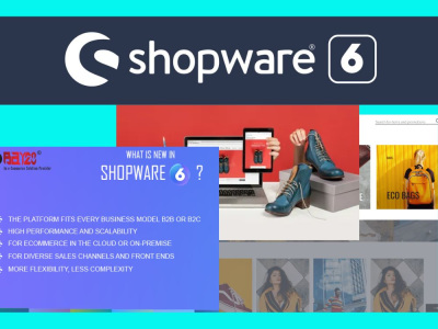 I will develop ecommerce store shopware 6 shop design and product ...