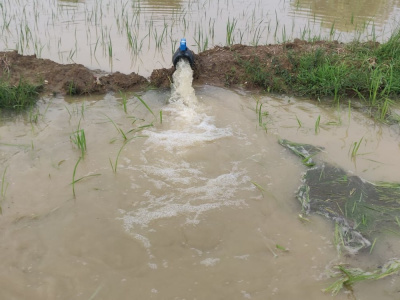 How to save land | Upwork