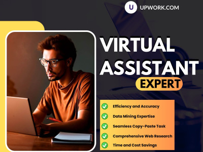 Virtual assistant for data entry, data mining, copy paste, web research | Upwork