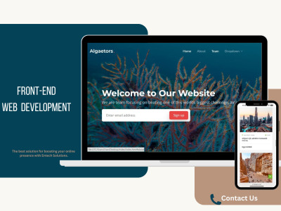 Stunning Front-End Development for Your Website! | Upwork