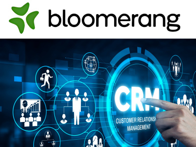 Seamless CRM Migration & Custom Bloomerang Setup for Nonprofit Success | Upwork