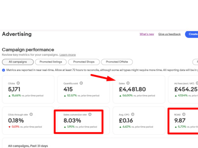 EBay PPC management different strategy | Upwork