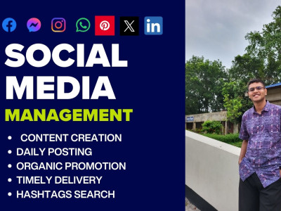 Social Media Manager for FB, Insta, LinkedIn, X | Upwork