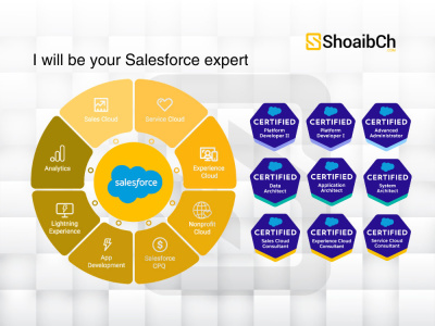 Salesforce CRM Implementation and Development | Upwork