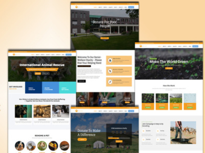 Professional Divi Theme Customization & Web Development | Upwork