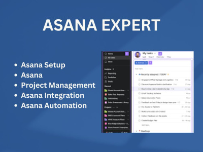 Your asana consultant setup asana project management boards with ...