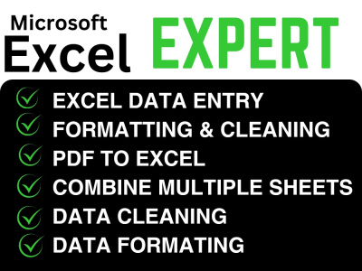 Excel data entry, cleaning and formatting service | Upwork