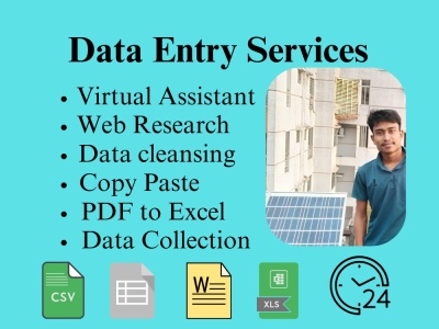 Data entry, copy paste, ms excel data entry and web research services | Upwork