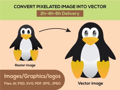 Professional Vectorization, Vectorize Image, Image to Vector Conversion ...