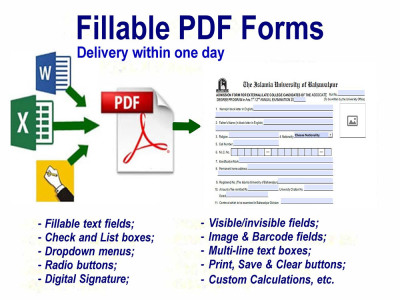 Professional Fillable PDF Form | Upwork