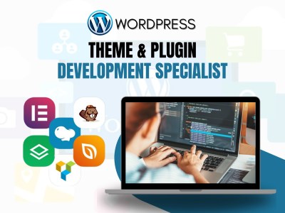 Custom WordPress Theme Development | Upwork